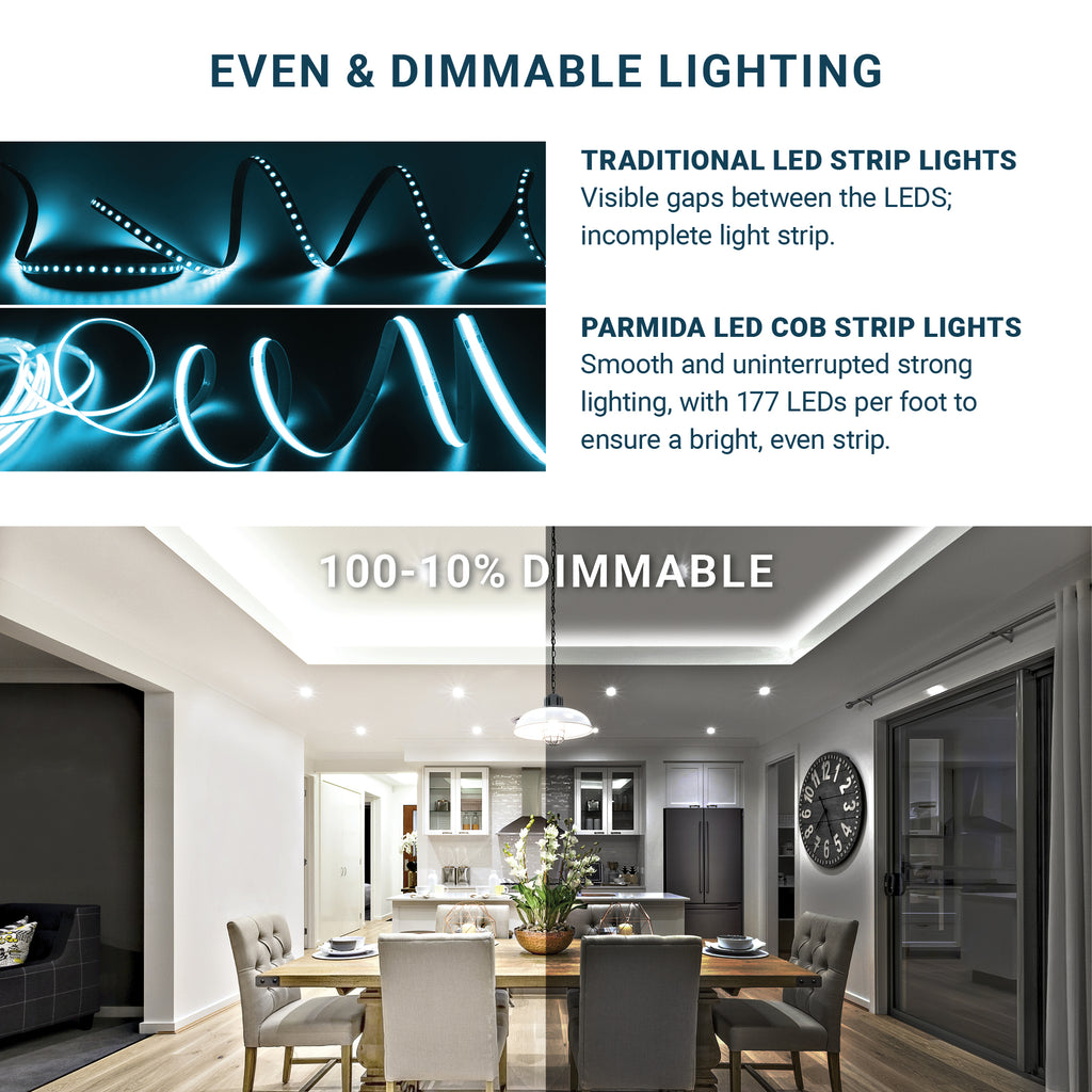 STRIP LIGHTS — Parmida LED Technologies